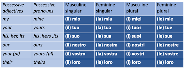 Possessive adjectives and pronouns: Italian grammar lesson 29